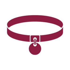 Total Power Exchange Blueprint - Dom Sub Living